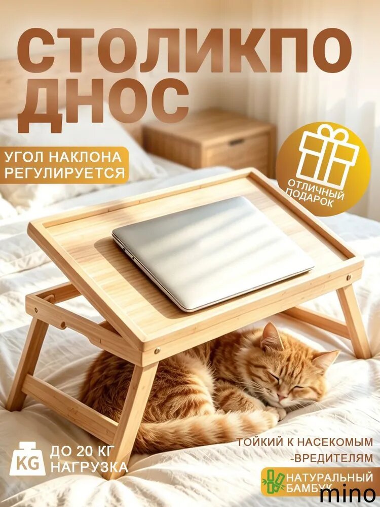 Поднос с ножками, 50.1 см х 30 см, 1 шт