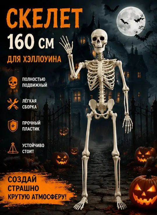 Скелет человека 160 см, чисто-белый, может стоять самостоятельно.