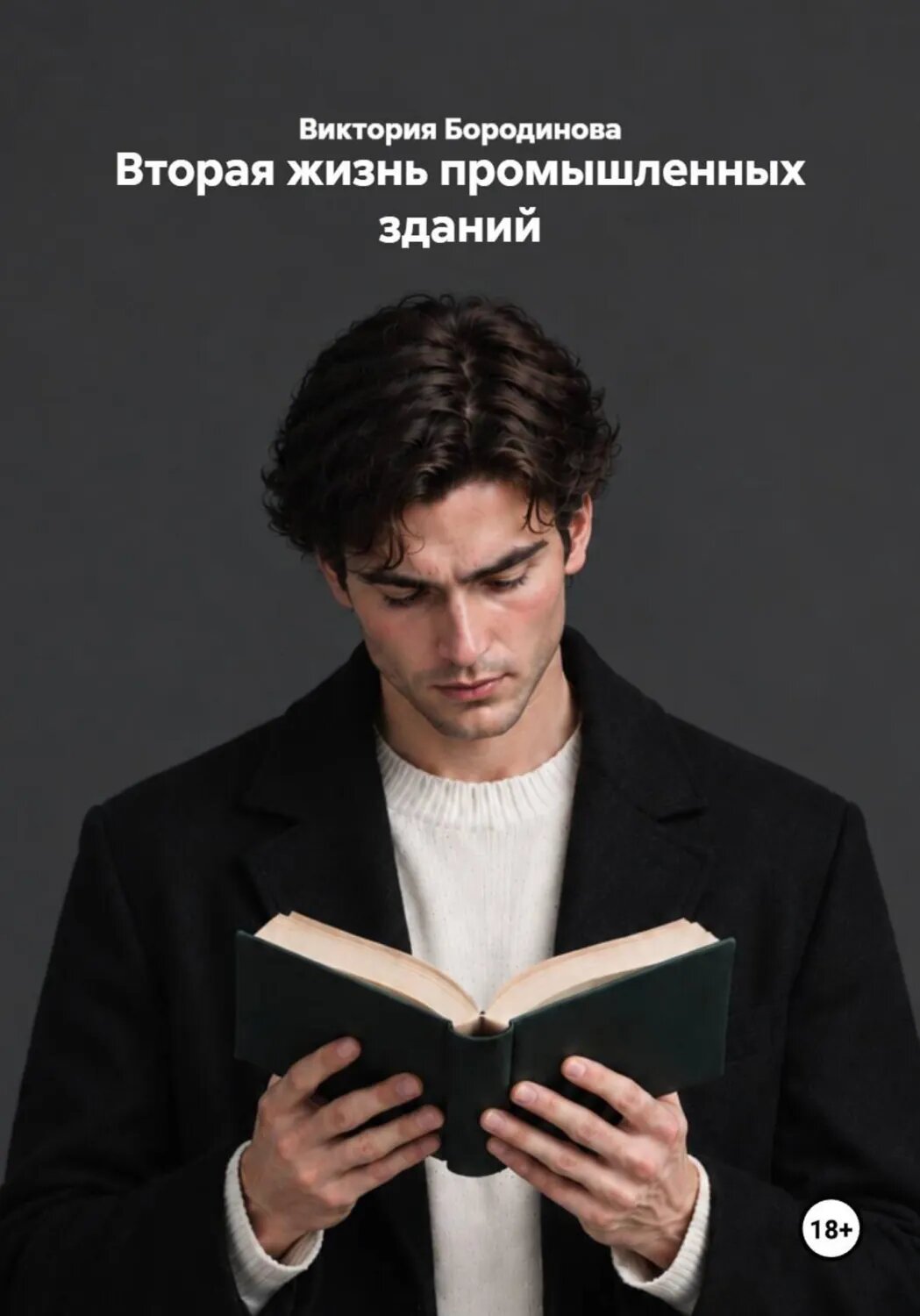 Вторая жизнь промышленных зданий [Цифровая книга]