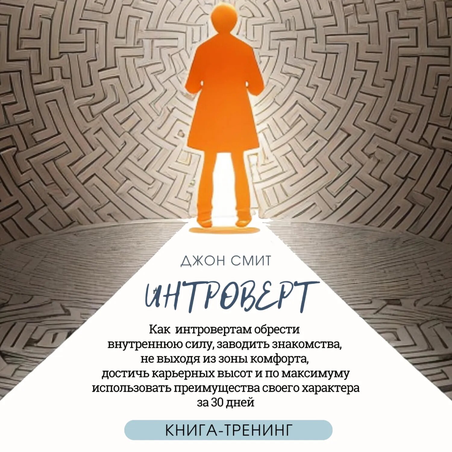 Интроверт. Как интровертам обрести внутреннюю силу, заводить знакомства, не выходя из зоны комфорта, достичь карьерных высот и по максимуму использовать преимущества своего характера за 30 дней [Аудиокнига]