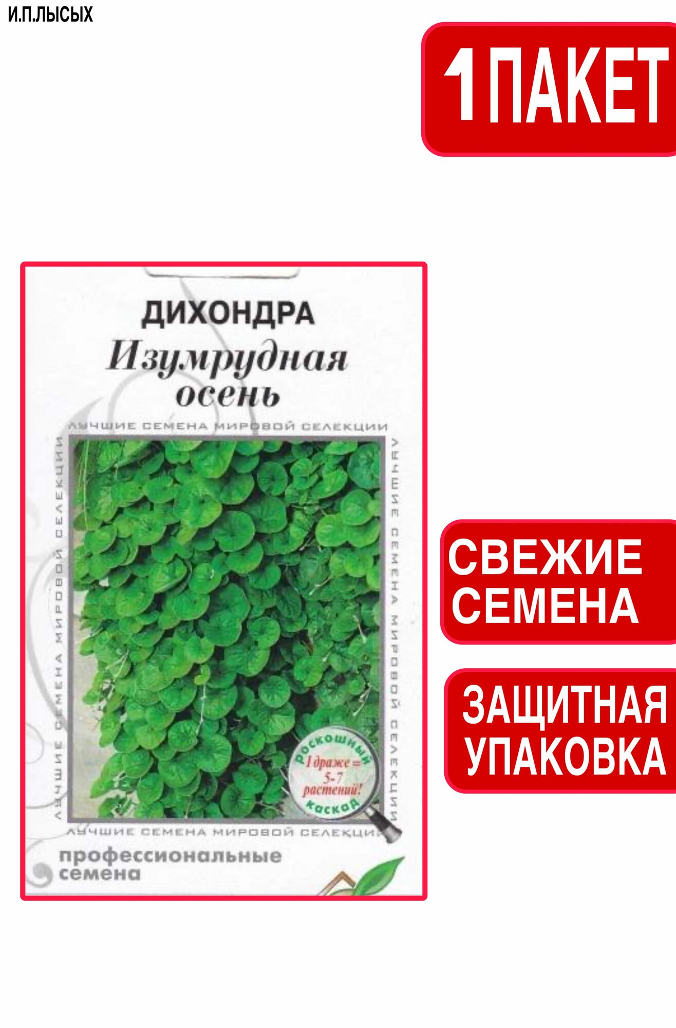 Семена Дихондра "Изумрудная Осень"