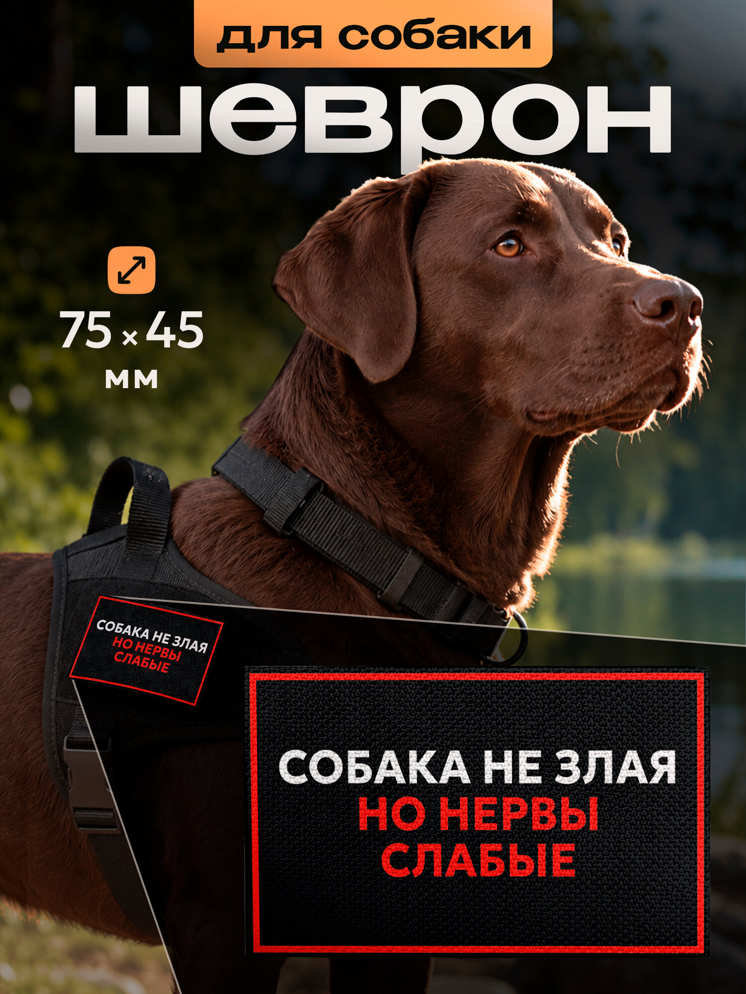 Шеврон IREVIVE, Собака не злая но нервы слабые , на липучке, для формы, военному