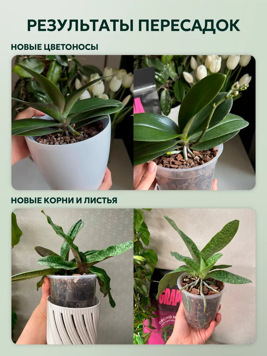 Грунт GRAPONA ORCHID MIX для орхидей, фаленопсисов, эпифитов, 3л — фото 1