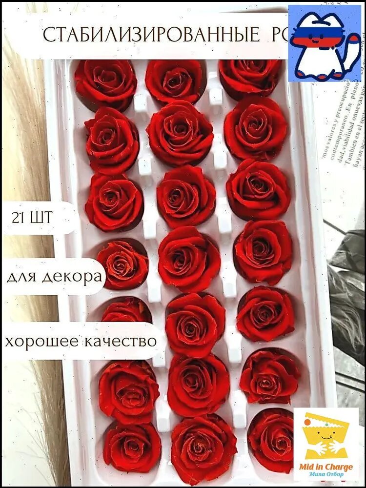 Стабилизированные цветы Роза, 21 шт