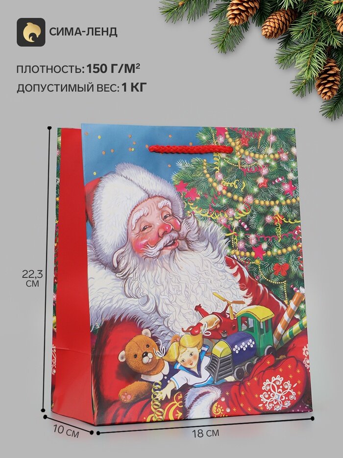 Пакет подарочный «Дед Мороз», 18×10×22.3 см, плотность 150 г/м