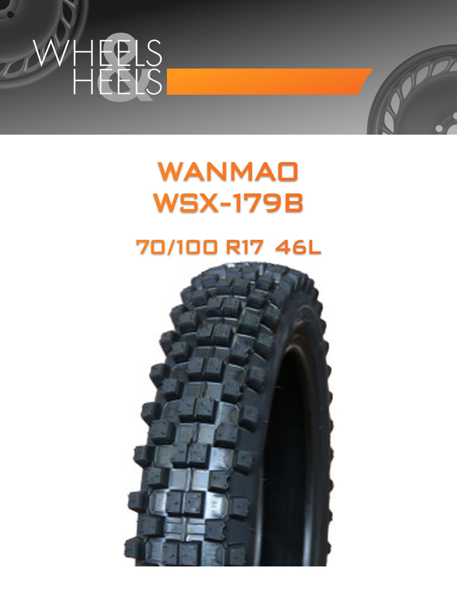 Шина автомобильная WANMAO WSX-179B 70/100 R17 46L ALLSEASON, всесезонная, универсальная