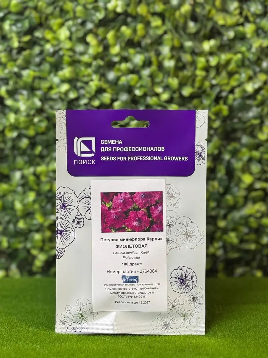 Петуния минифлора Карлик Фиолетовая, 100 шт