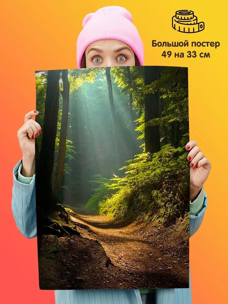 Постер Лес Forest