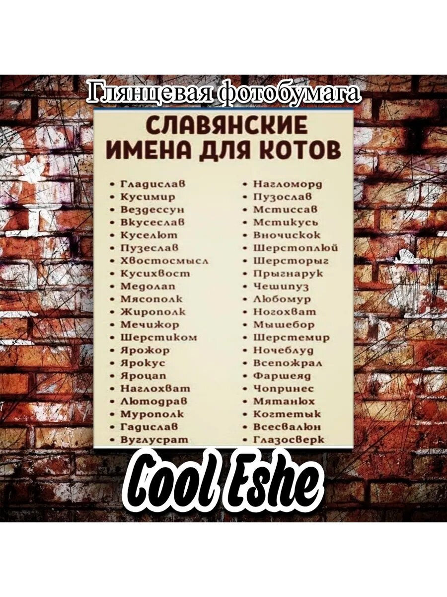Постер "Славянские имена для котов" А3