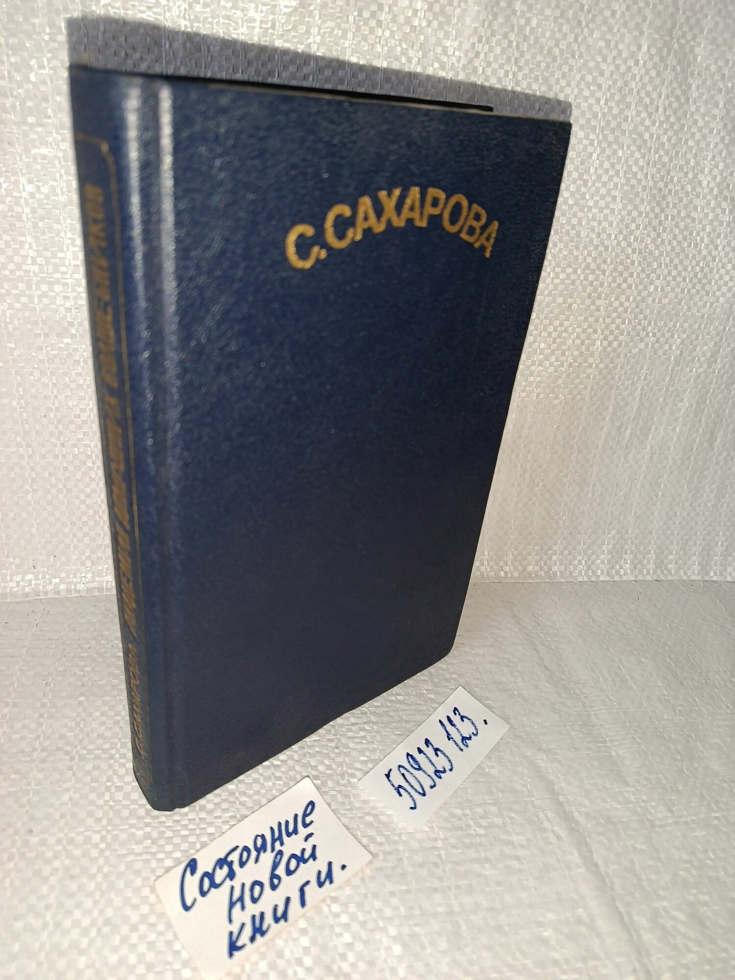 С. Сахарова. Академия домашних волшебников.
