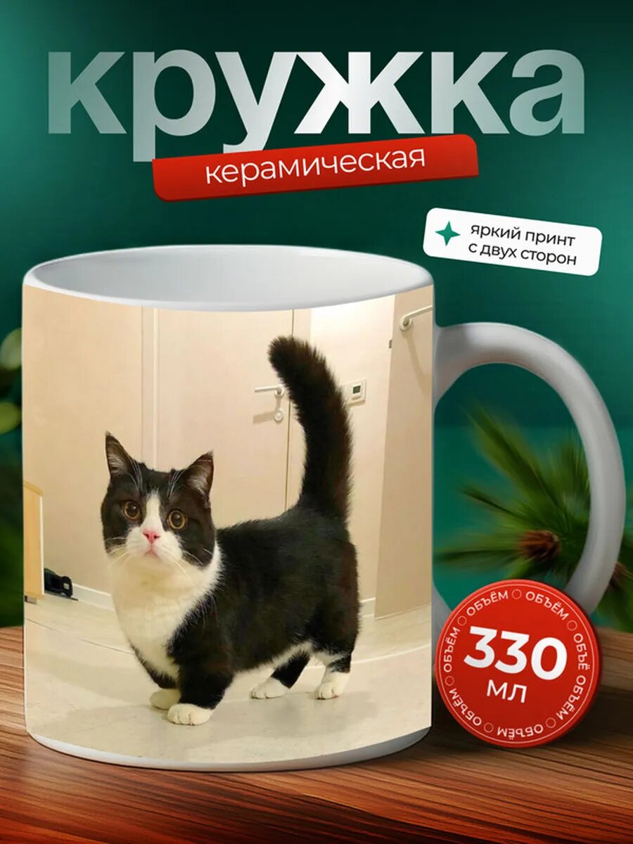 Кружка Манчкин кот 2,