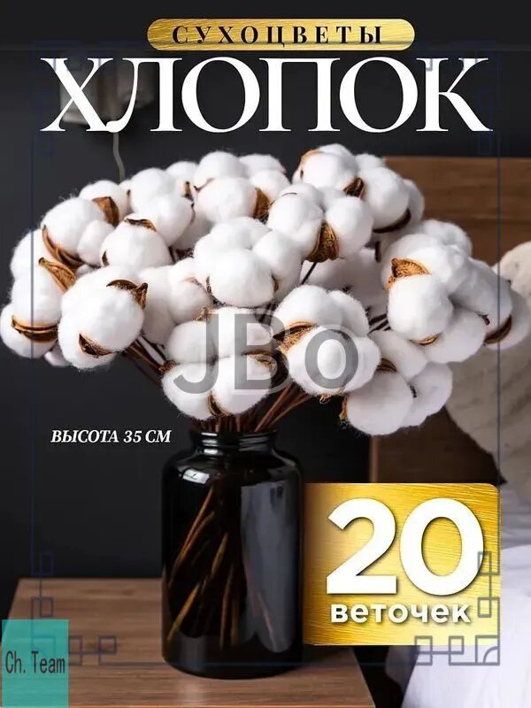 Сухоцветы Хлопок, 35 см, 20 шт