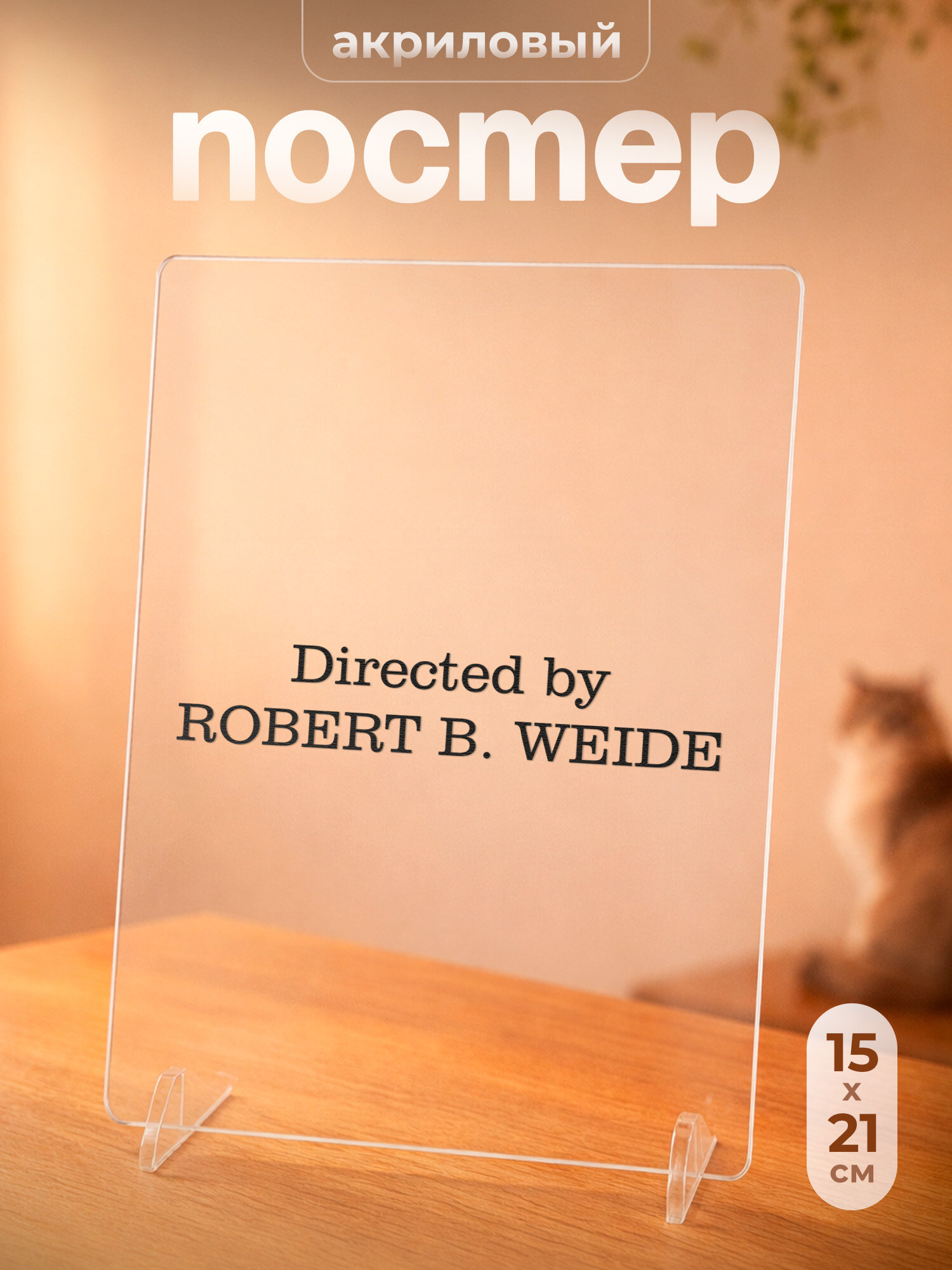 Постер акриловый Directed by Robert B. Weide