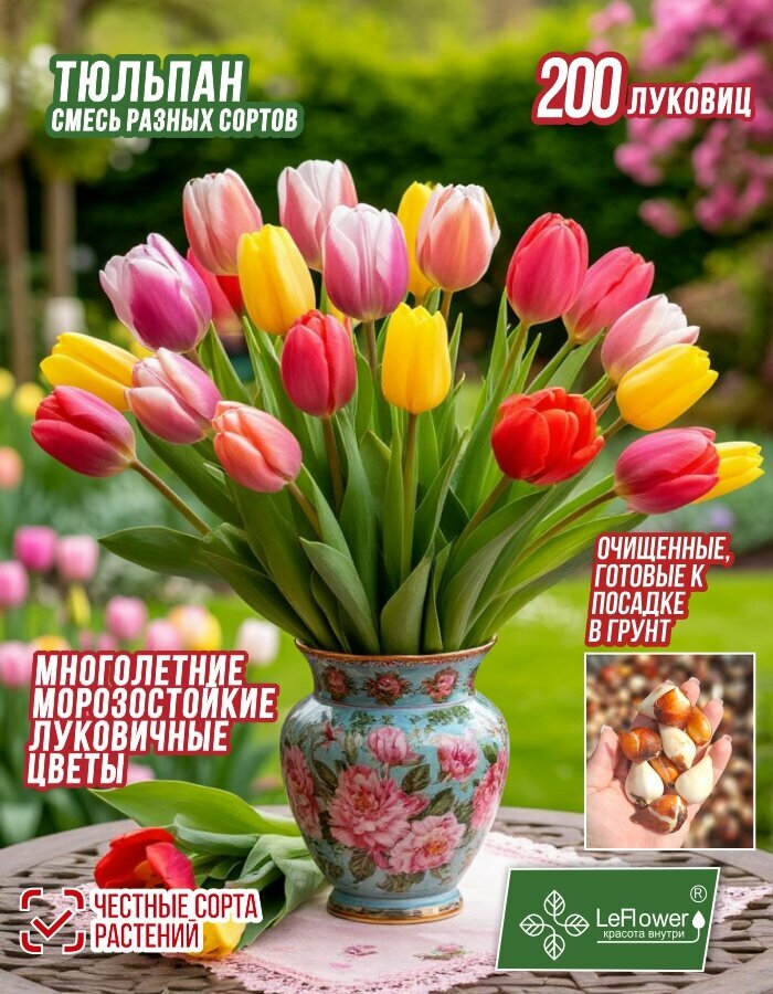 Тюльпан Луковица, Микс сортов, 200шт очищенный