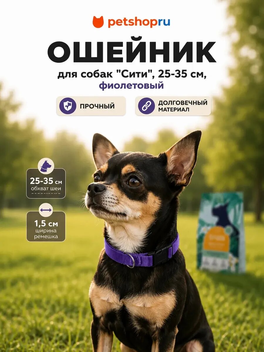 Yami Yami амуниция Ошейник "Сити" для собак, фиолетовый, 25-35 см