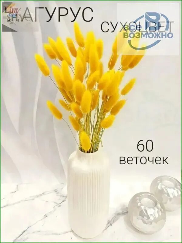 Сухоцветы Лагурус, 55 см, 100 гр, 60 шт