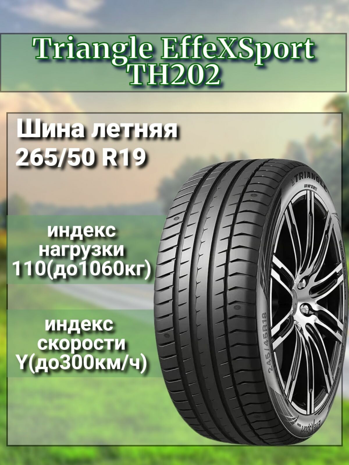 Шина легковая летняя Triangle EffeXSport TH202 265/50 R19 110 Y