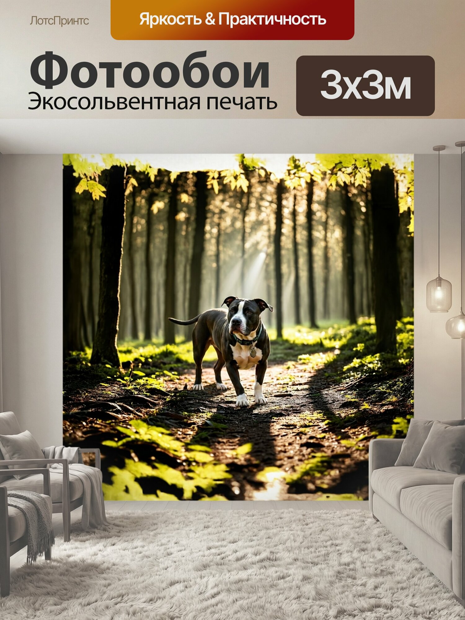 Фотообои "Собака, американский стаффордширский терьер, исследует лесной пейзаж, где лучи солнечного света проникают сквозь листву деревьев." 300x300 см. экосольвентная печать
