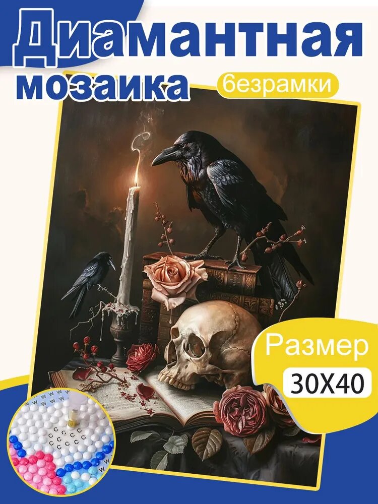 Алмазная мозаика "Ворон и череп" 30х40 см, полная выкладка