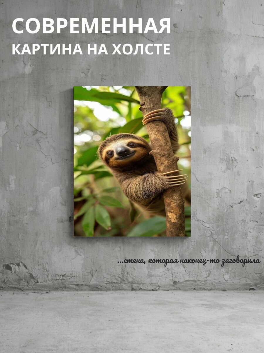 Картина на холсте Ленивец 50x70 см