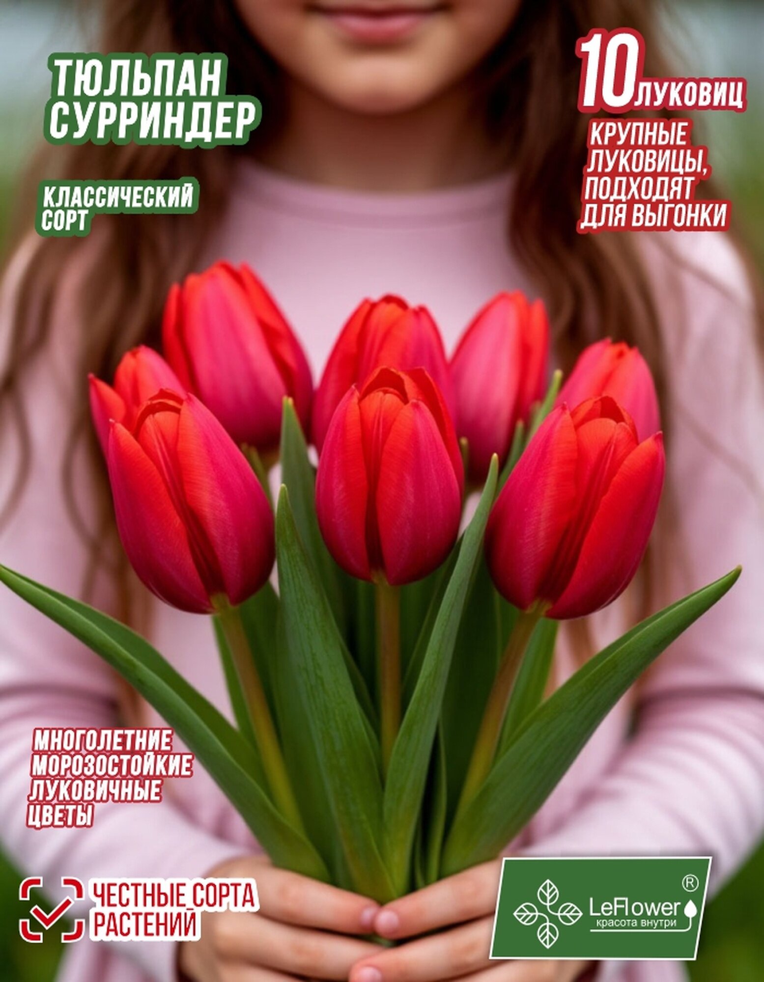 Тюльпан LeFlower "Суррендер", многолетние, красные, 45см, 10шт
