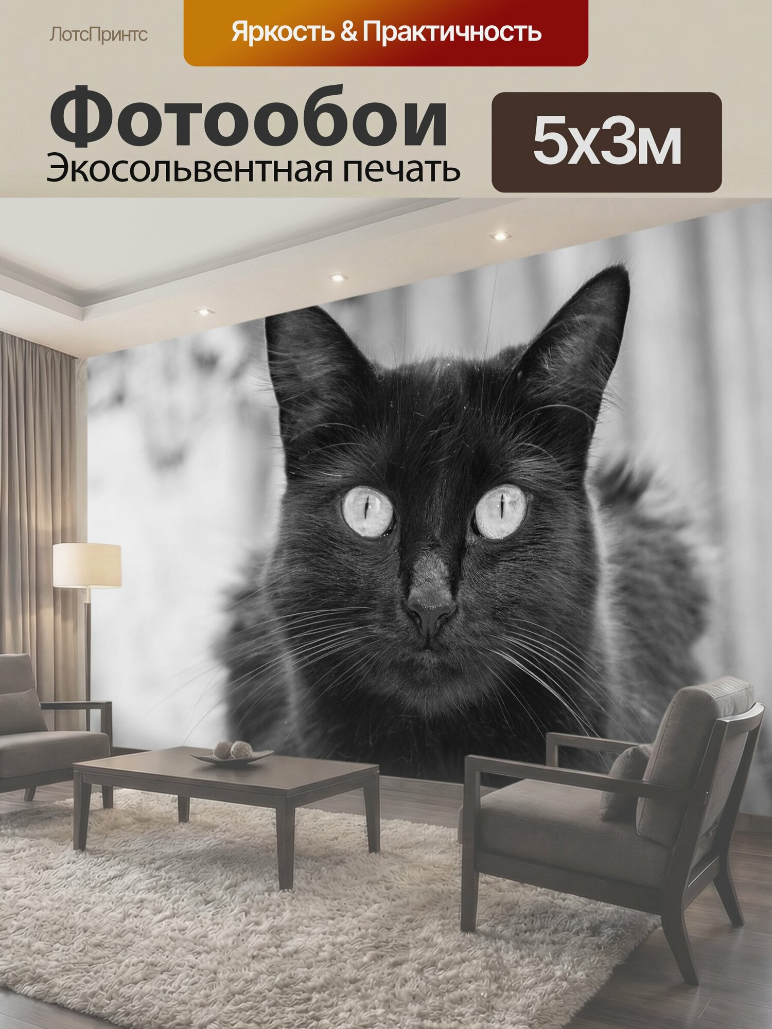 Фотообои "Гато, кошка, ан" 500x300 см. экосольвентная печать