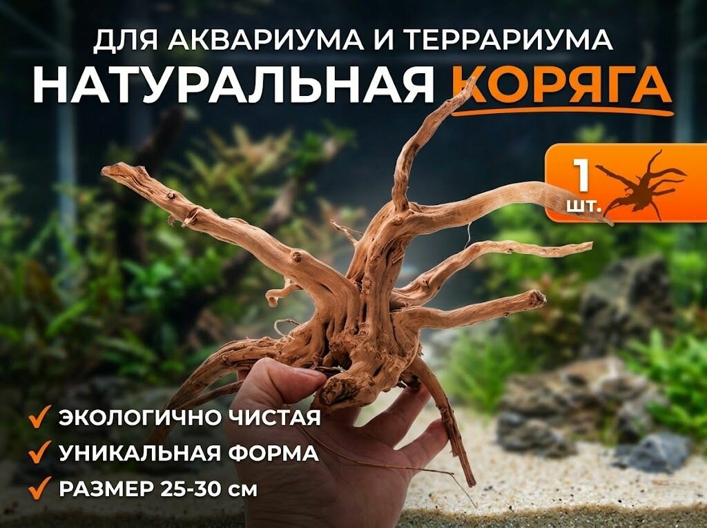 Натуральная коряга для аквариума и террариума (корень азалии), декор для акваскейпинга, 25-30 см