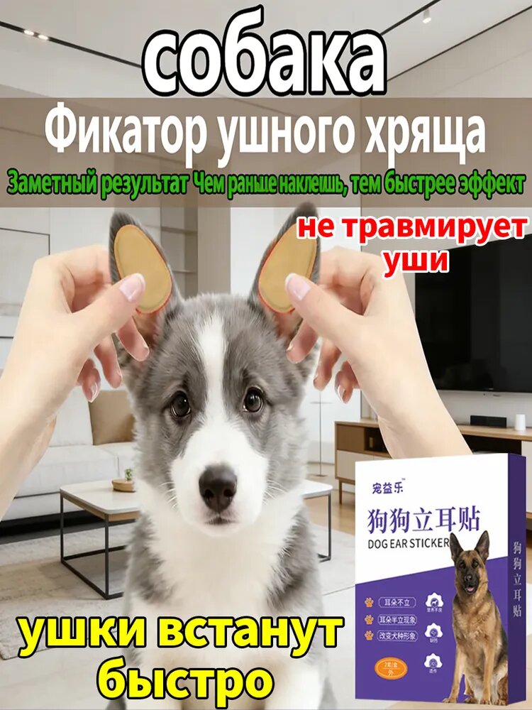 Профессиональные пластыри для фиксации ушей у щенков: без раздражения кожи