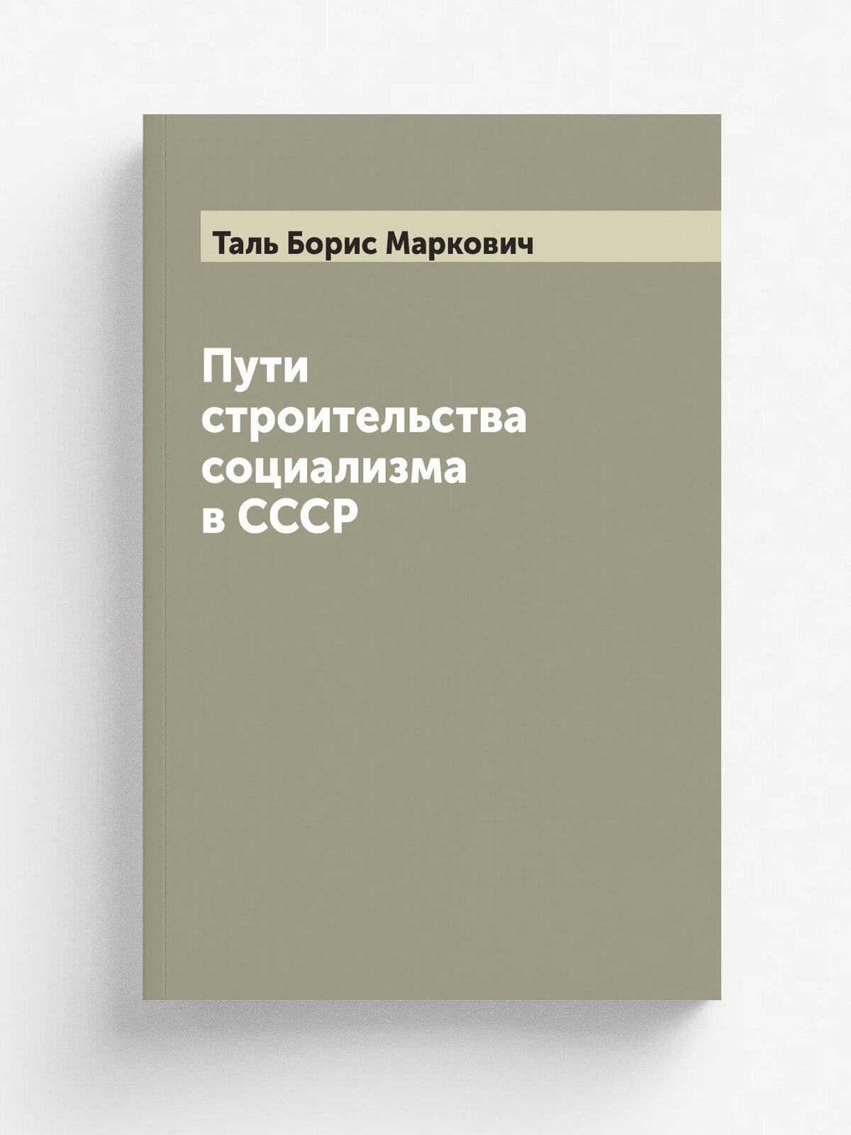 Пути строительства социализма в СССР