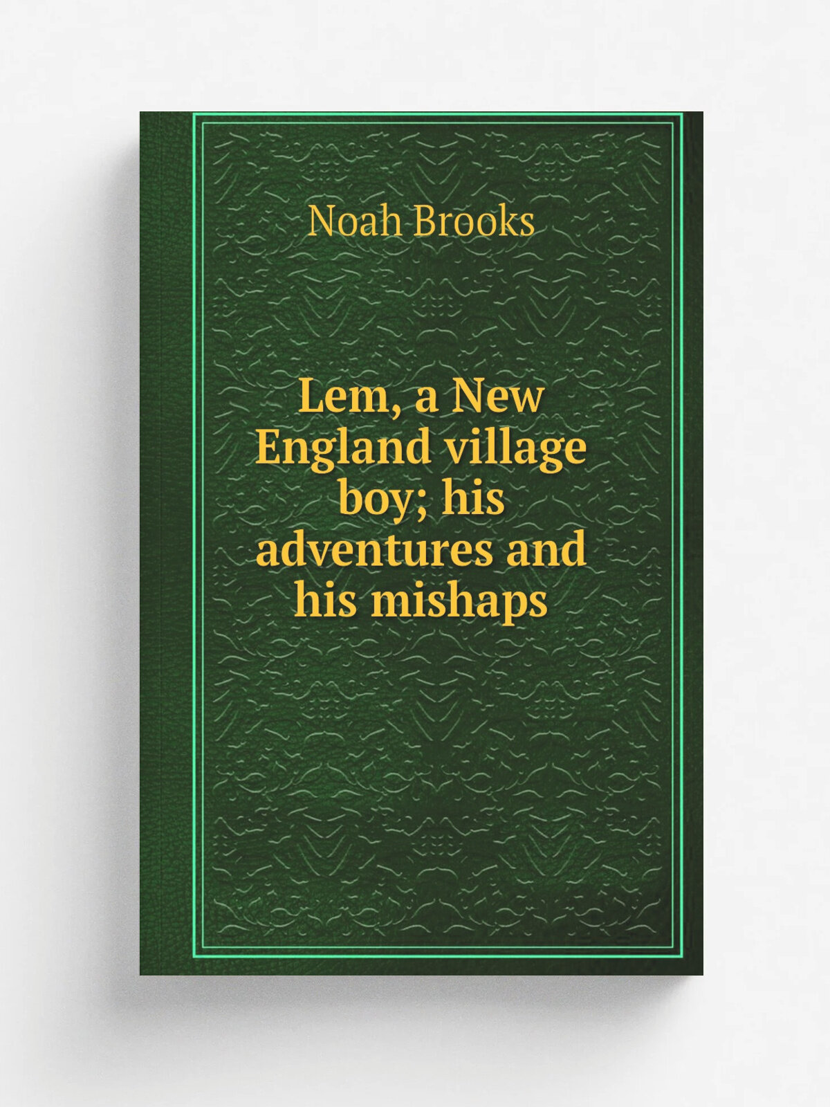 Lem, a New England village boy; his adventures and his mishaps