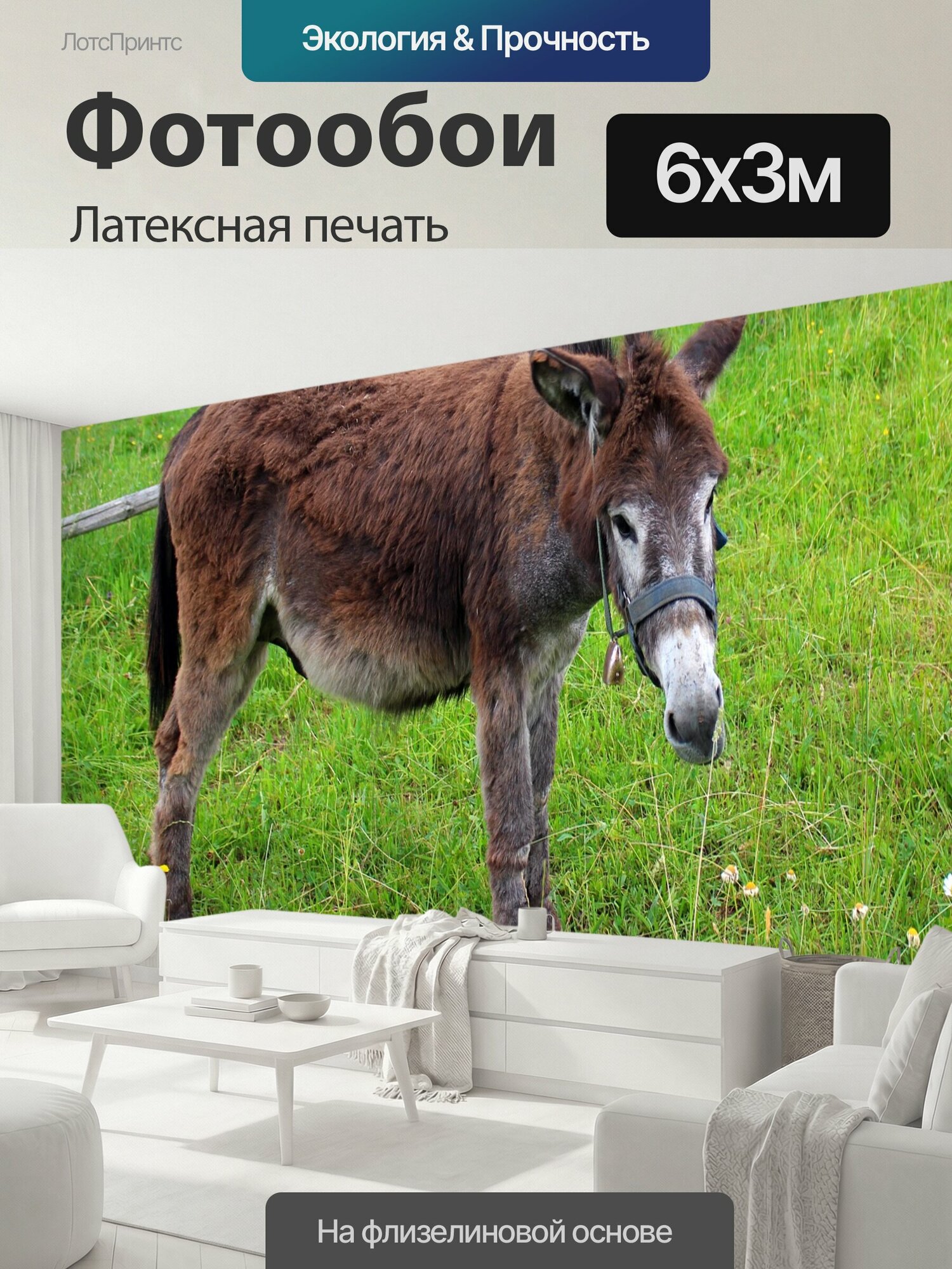 Фотообои моющиеся ударопрочные "Домашний осёл, животное, вьючное животное" 600x300 см. латексная печать
