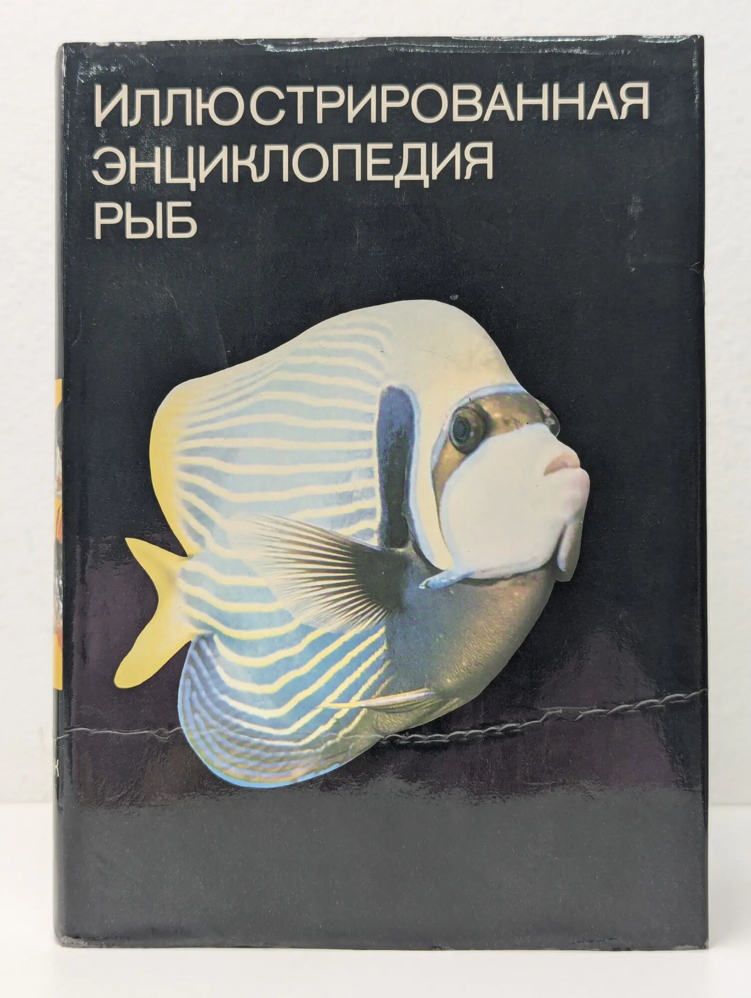 Иллюстрированная энциклопедия рыб Сборник 1984