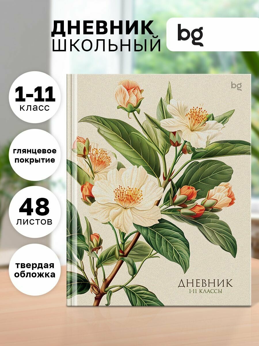 Эстетичный дневник школьный BG 5 -11 класс