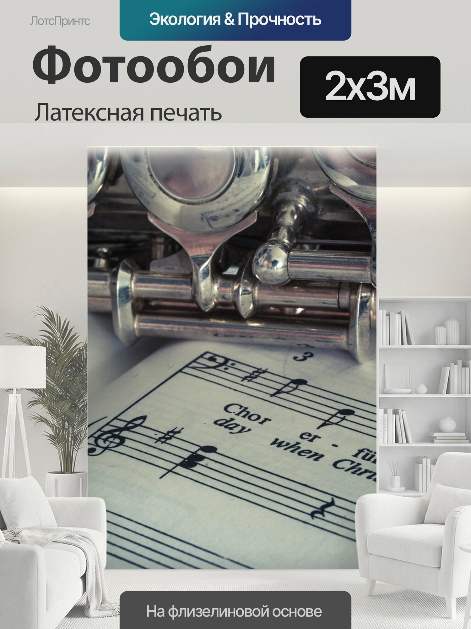 Фотообои моющиеся ударопрочные "Флейта, музыкальный инструмент, серебряное покрытие" 200x300 см. латексная печать