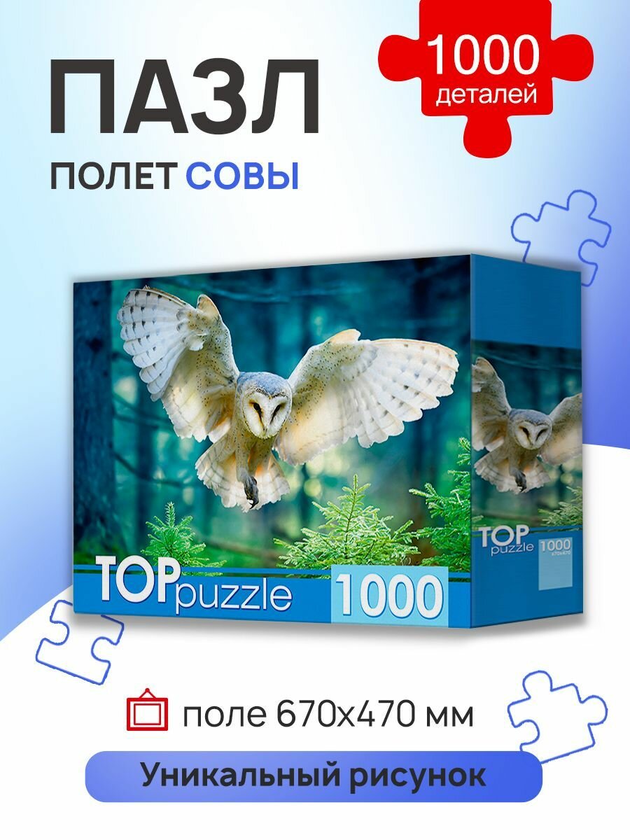 TOPpuzzle пазлы 1000 элементов. Полет совы. Пазлы для взрослых и детей. . (Арт. ШТ1000-3870) пазл с совами 1000 деталей