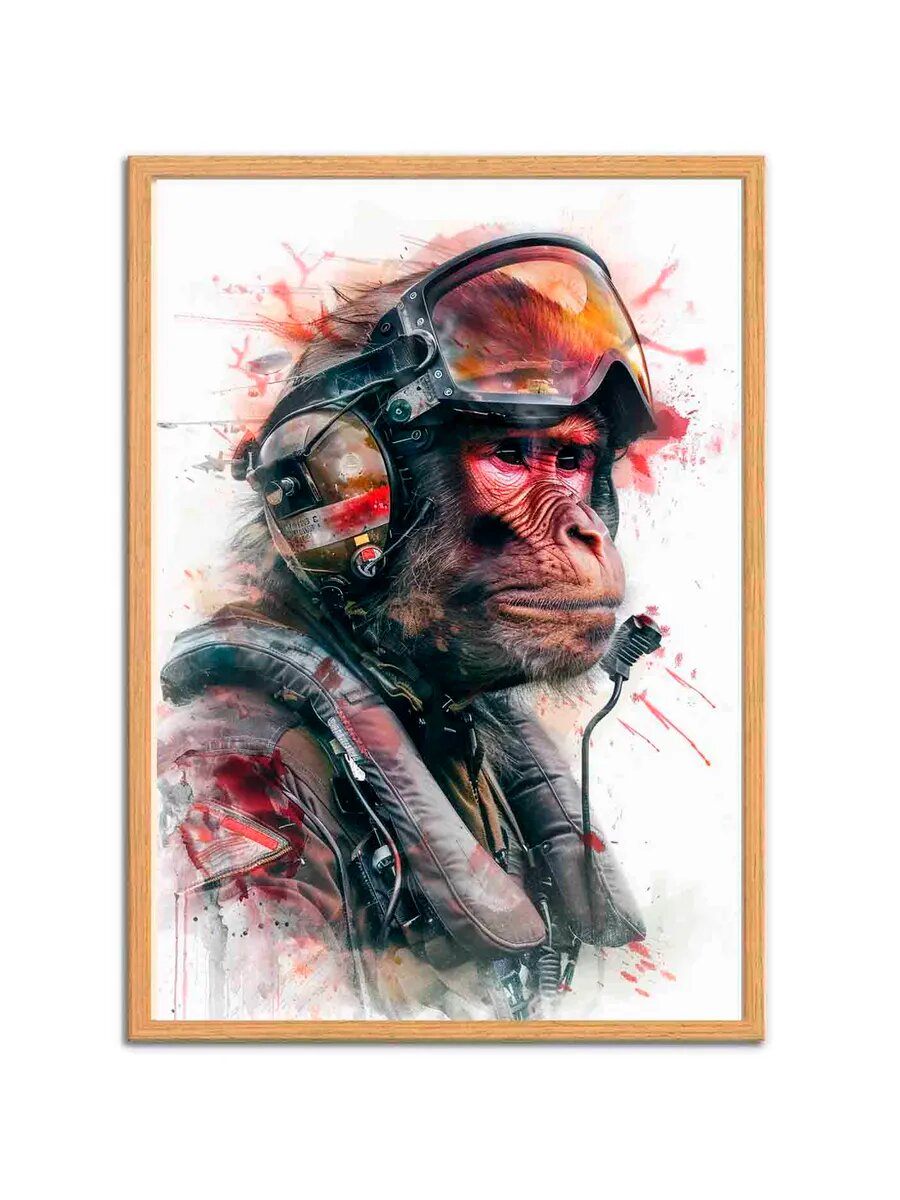 Пилот-животное-бабуин 2, Плакат 30x42см