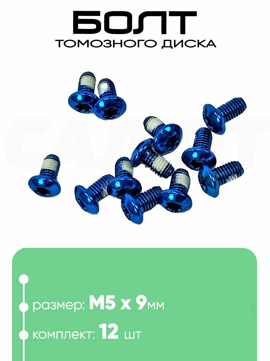 Болт тормозного диска M5х9мм (12шт) синий