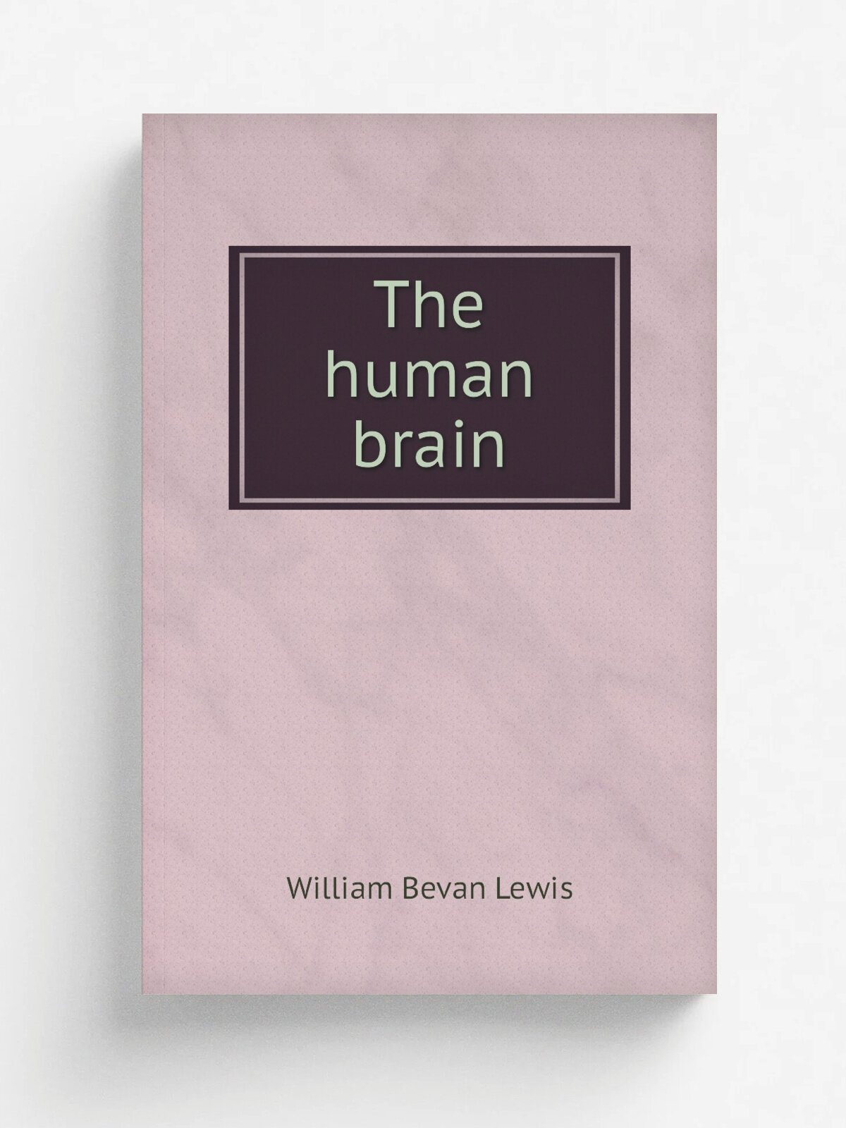 The human brain | William Bevan Lewis | 1882 | Churchill | Репринт