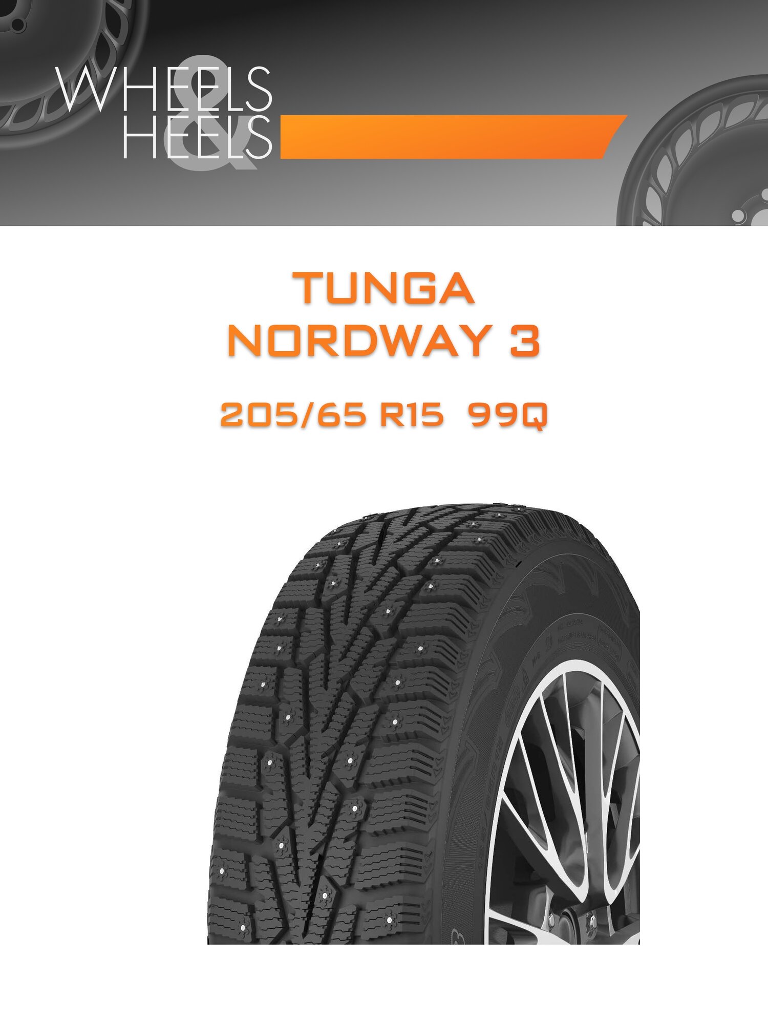 Шина автомобильная TUNGA NORDWAY 3 205/65 R15 99Q WINTER Ш, зимняя, универсальная