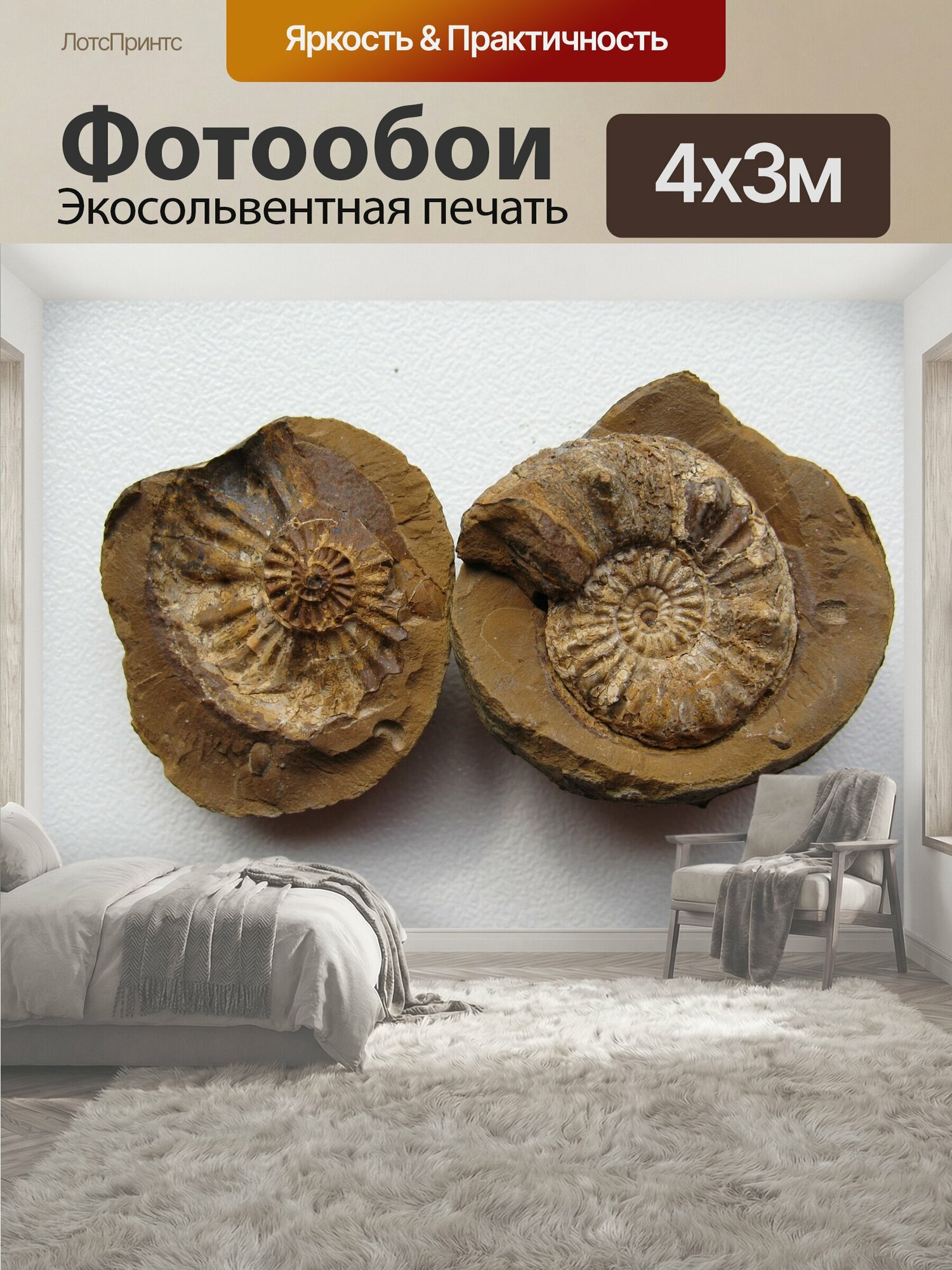 Фотообои "Аммониты, окаменелости, головоногие" 400x300 см. экосольвентная печать