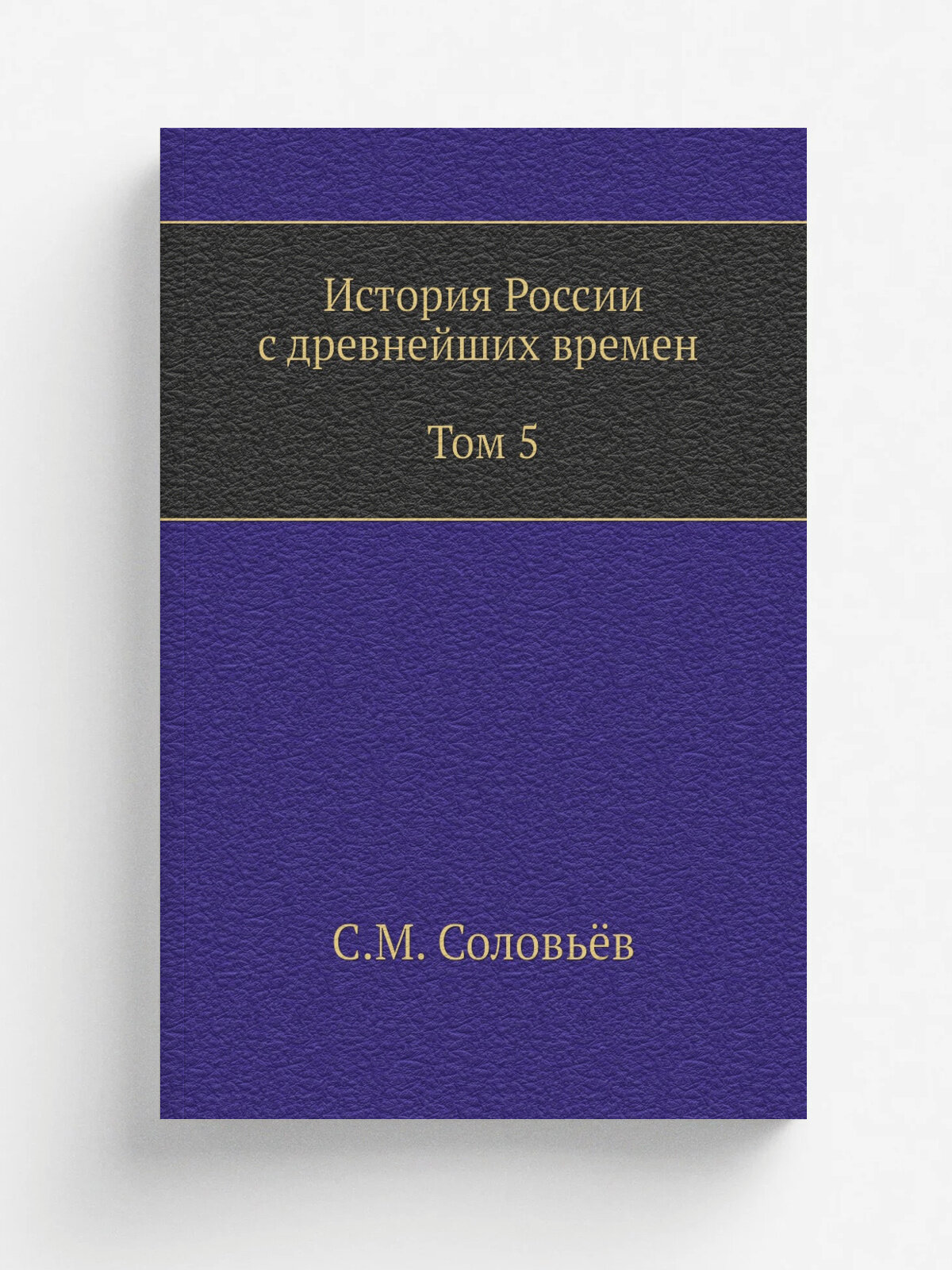 История России с древнейших времен (Том 5)