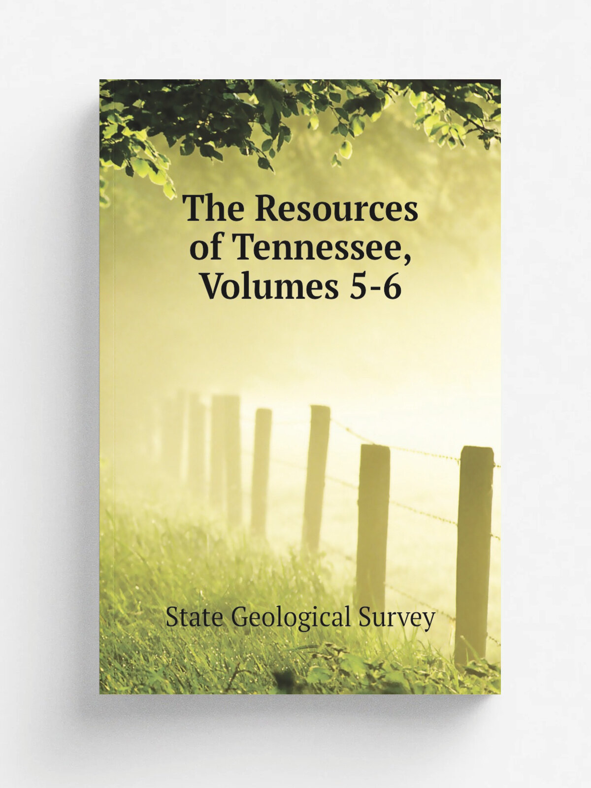 The Resources of Tennessee, Volumes 5-6 | State Geological Survey | Репринт