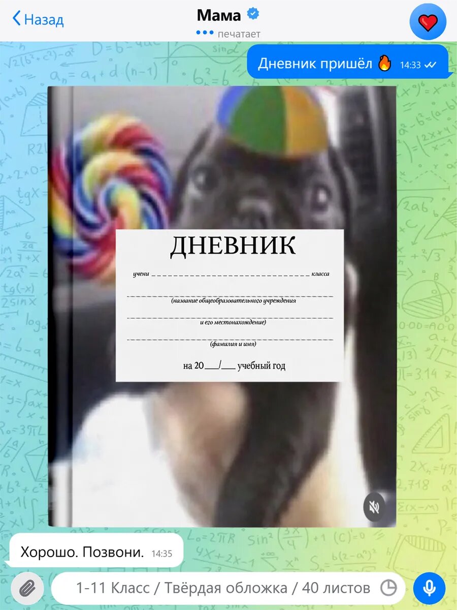 Школьный дневник с принтом Роблокс