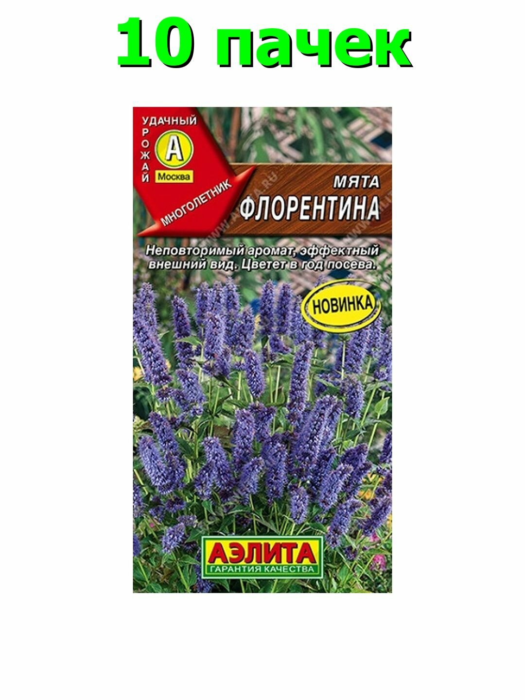 Семена Мята Флорентина, Аэлита, 1 пачка - 0.05г семян