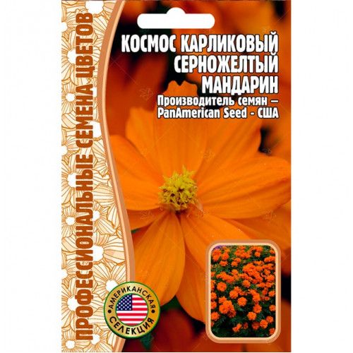 Космос карликовый серножелтый Мандарин 5 семян х 1 упаковка США Профессиональные семена цветов
