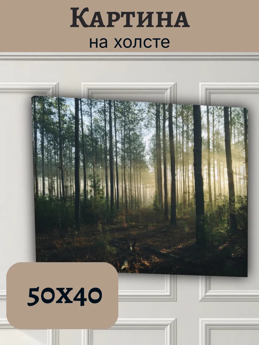 Картина Финляндия Finland 40x50 лесная дымка