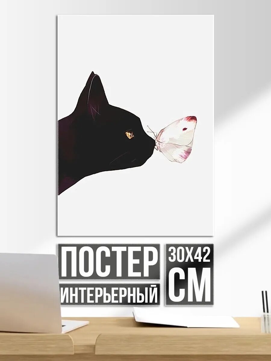 Плакат постер Черный кот и бабочка