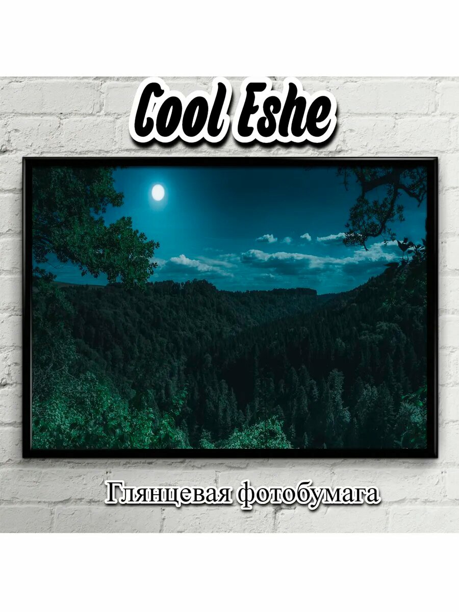 Постер "dark night forest view, темный ночной лес" А2