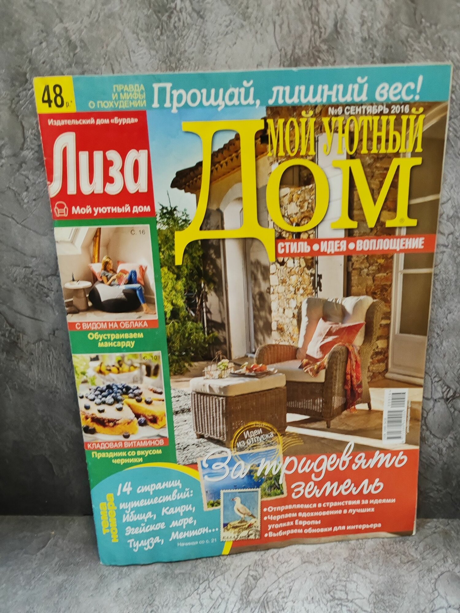 Журнал "Лиза. Мой уютный дом" №9 за 2016 г.