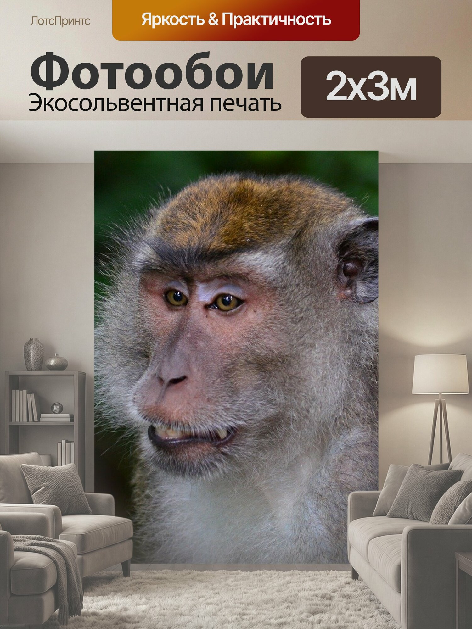 Фотообои "Makake, макаки, обезьяна" 200x300 см. экосольвентная печать